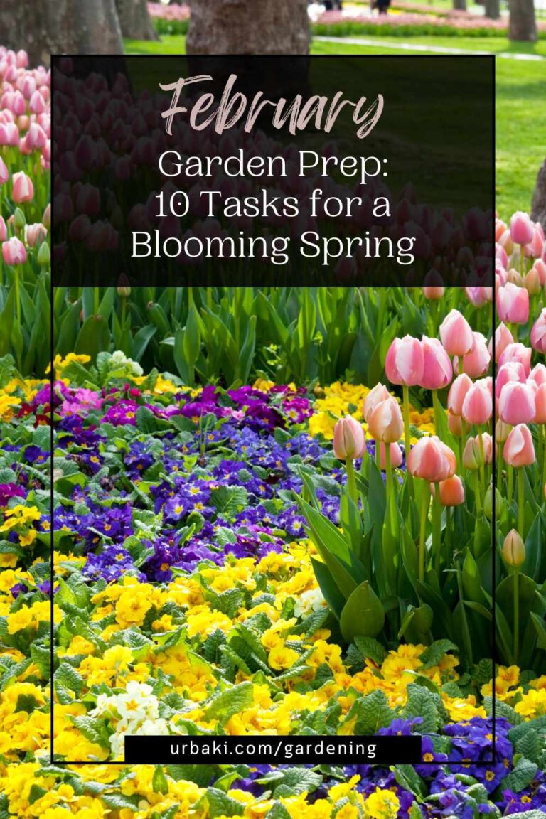 February Garden Prep - 10 Tasks for a Blooming Spring
