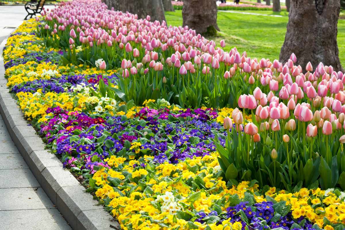 February Garden Prep - 10 Tasks for a Blooming Spring