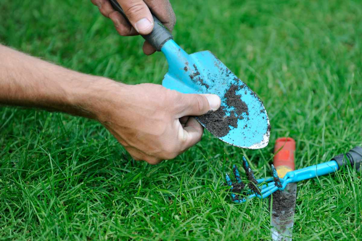 This is Why You Need To Clean Your Gardening Tools