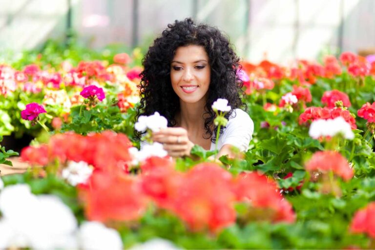 The 6 Characteristics of a Successful Garden