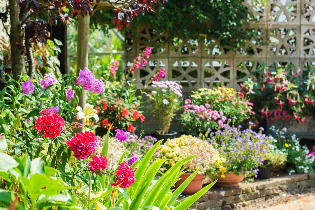 The 6 Characteristics of a Successful Garden