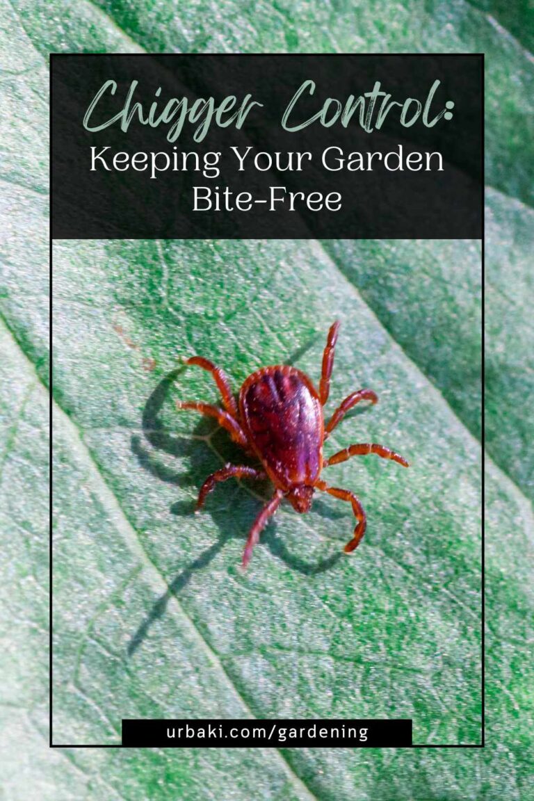 Chigger Control: Keeping Your Garden Bite-Free