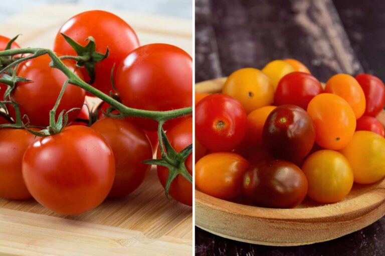Growing Grape Tomatoes - Beginner's Guide