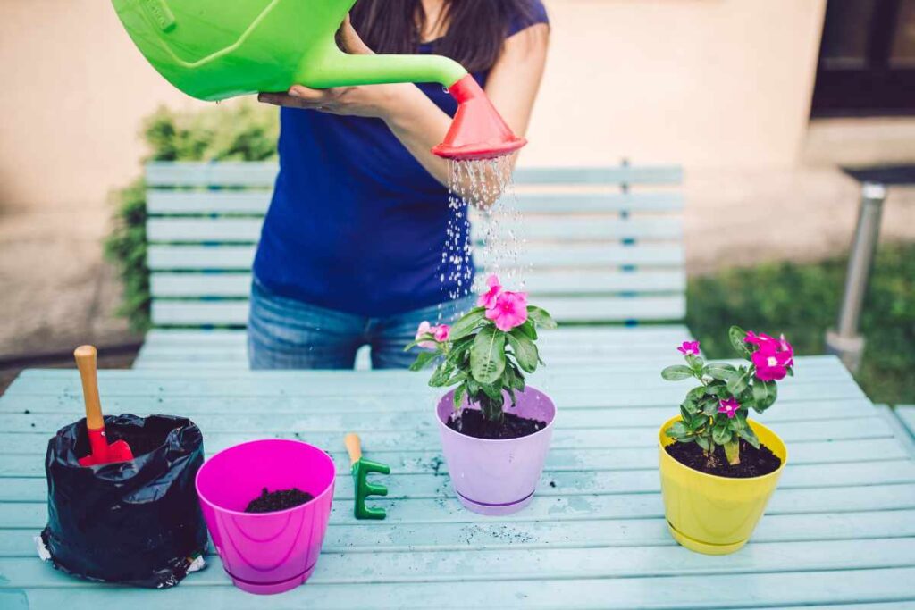 6 Mistakes You're Making When Watering Your Flowers