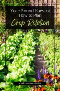 Year-Round Harvest - How to Plan Crop Rotation
