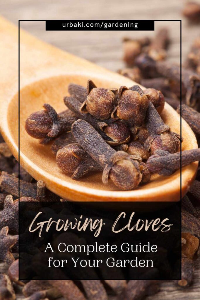 Growing Cloves - A Complete Guide for Your Garden