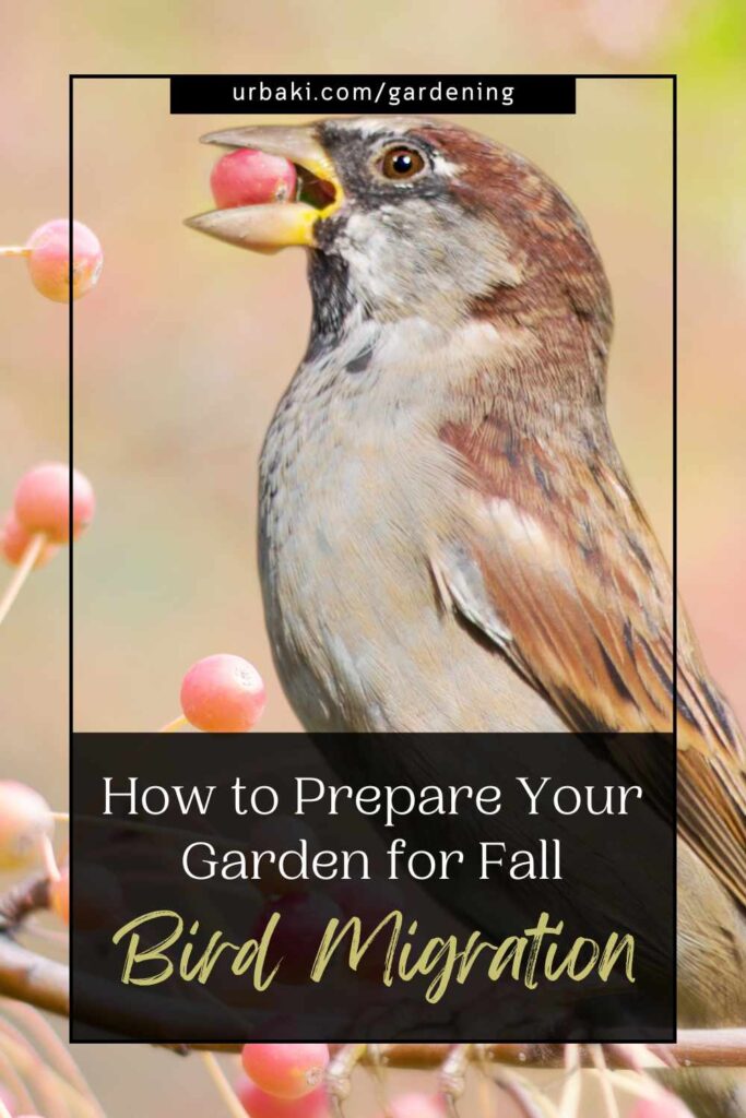 How to Prepare Your Garden for Fall Bird Migration