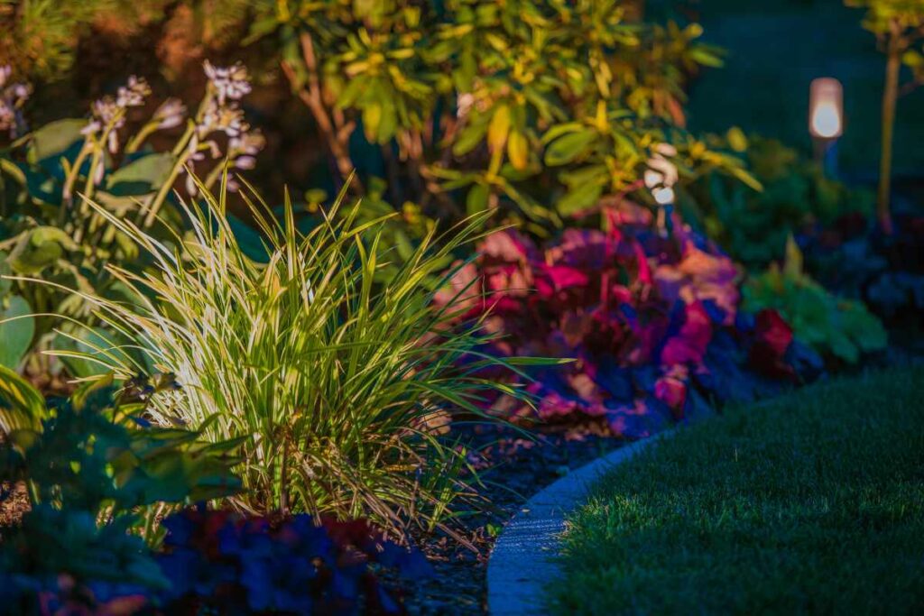 The Magic of Night Gardening: Why You Should Try It