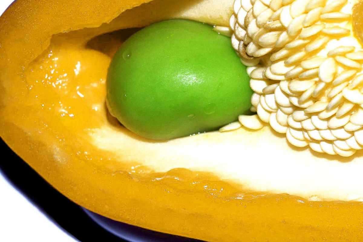 Why Is There a Pepper Growing Inside My Pepper?