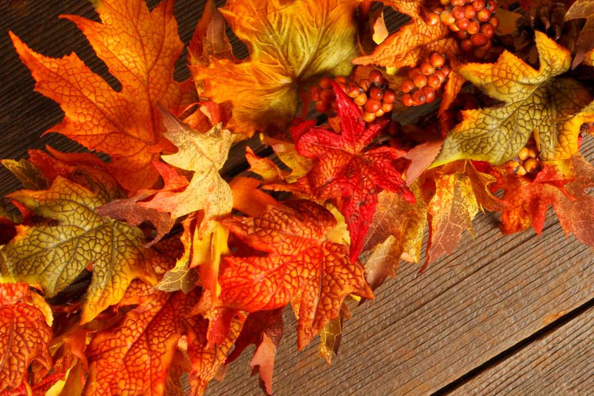 Creative Ways to Use Fall Leaves in Your Garden