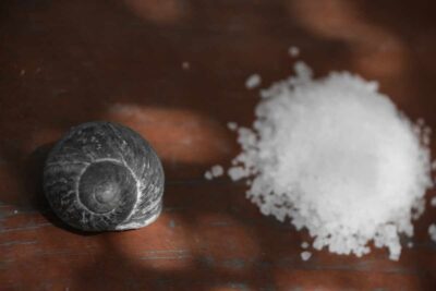 Can I Use Salt to Kill Slugs? Pros and Cons