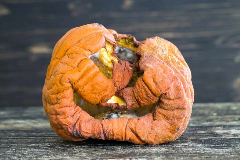 How to Compost Your Halloween Pumpkins