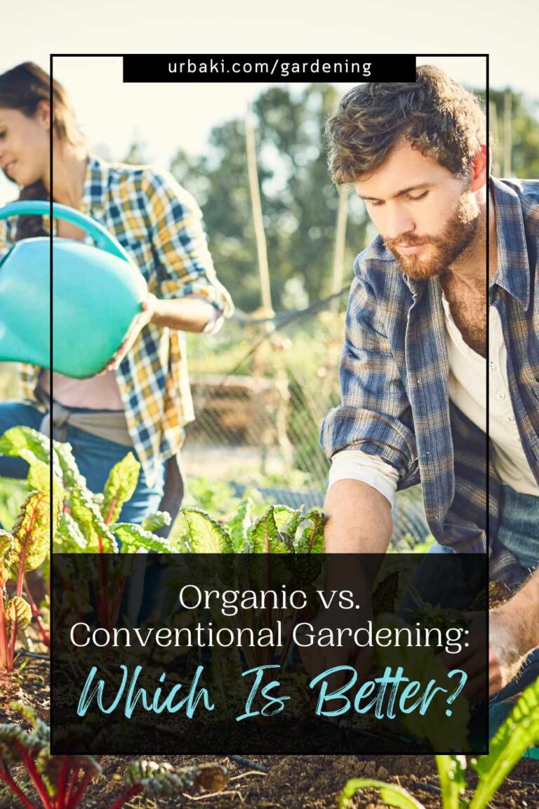 Organic vs. Conventional Gardening: Which Is Better?