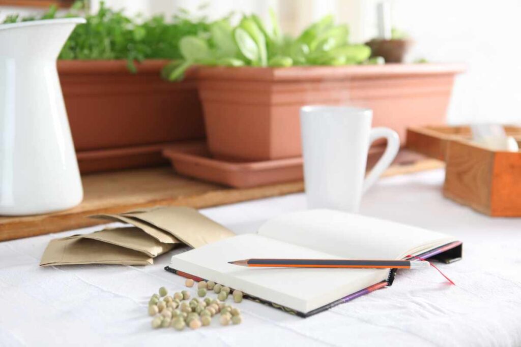 Simple Guide to Starting a Garden from Scratch