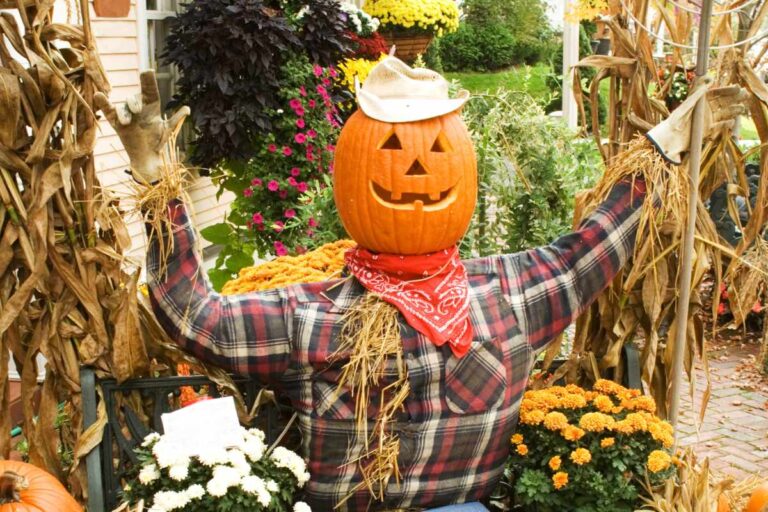 5 Tips for Building the Perfect Garden Scarecrow