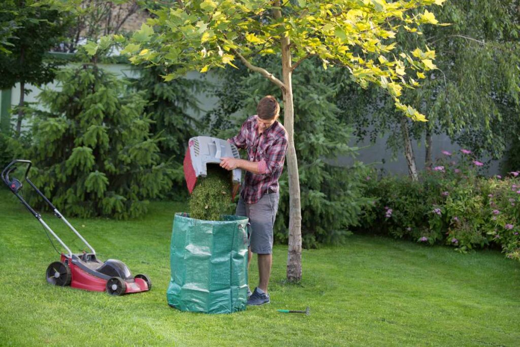 Simple Guide to Starting a Garden from Scratch