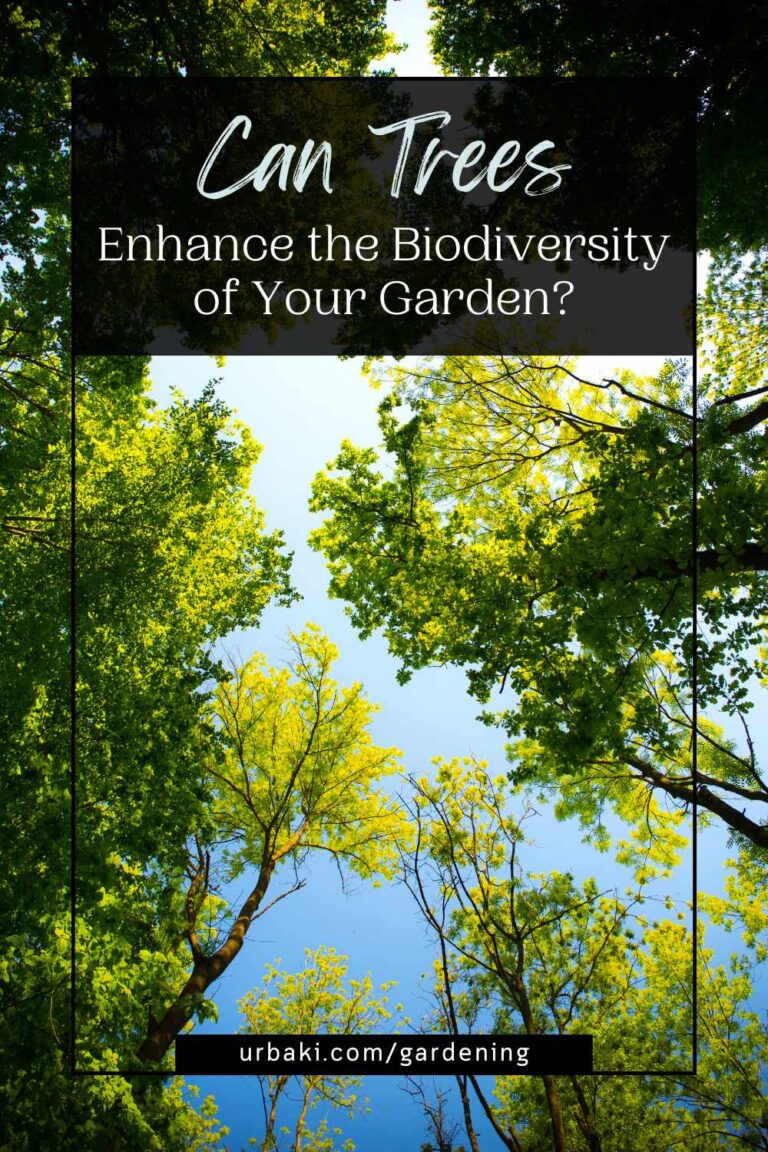 Can Trees Enhance the Biodiversity of Your Garden?