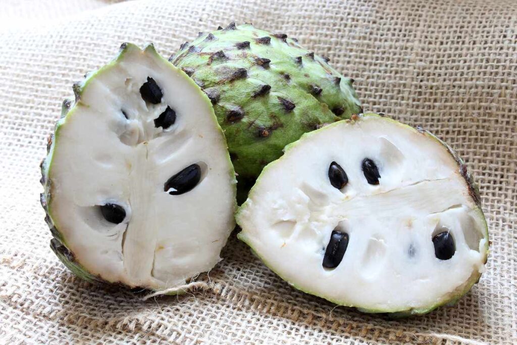 Learn How to Grow Soursop - A Tropical Delight