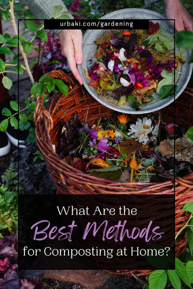 What Are the Best Methods for Composting at Home?
