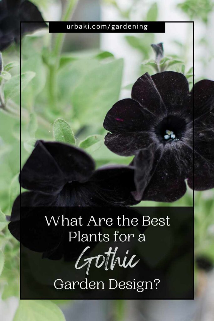 What Are the Best Plants for a Gothic Garden Design?
