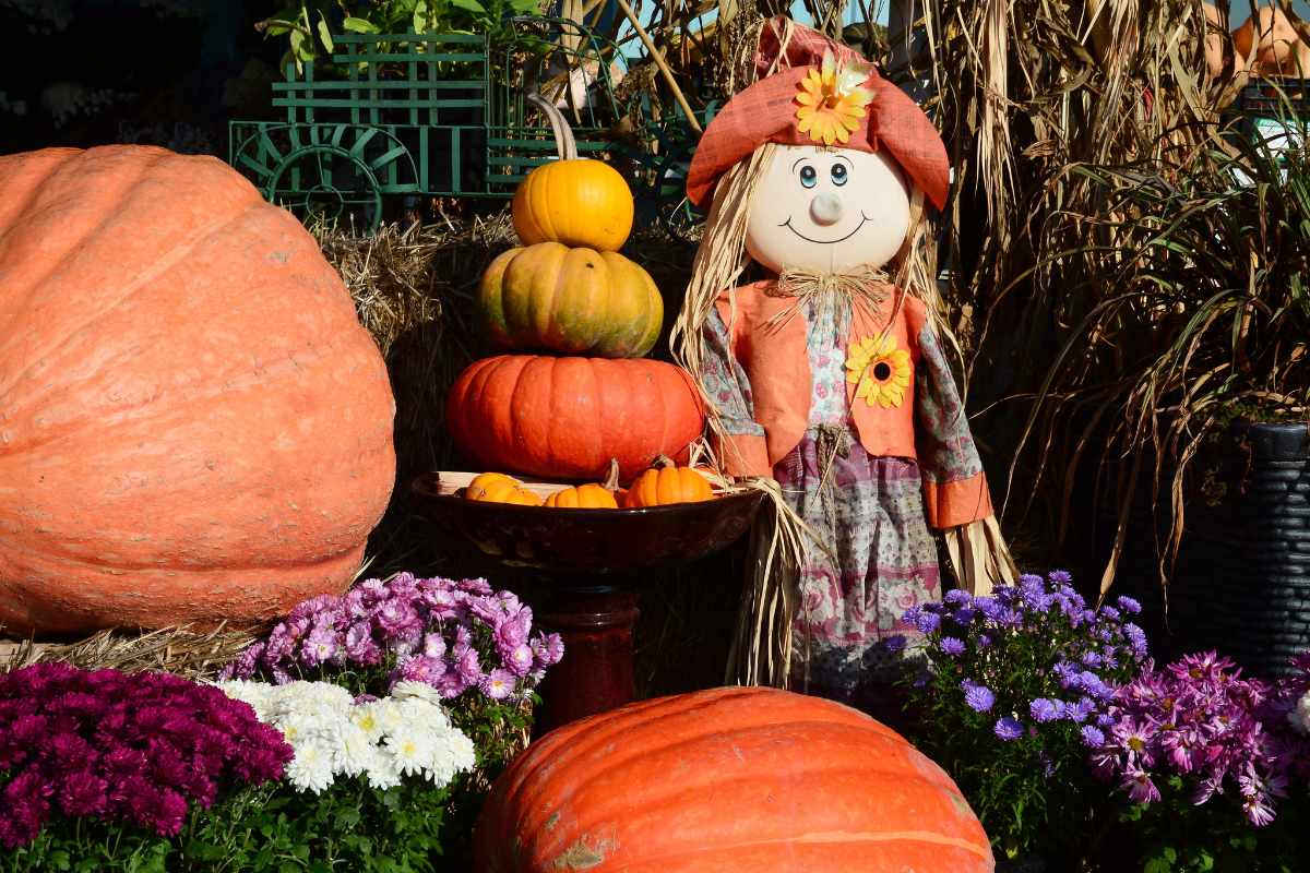 4 Easy Pumpkin Displays for Your Halloween Garden