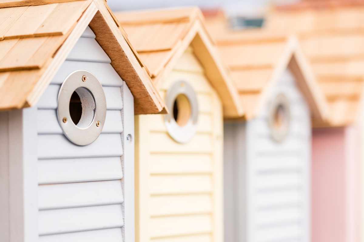 How to Build Birdhouses for Different Species