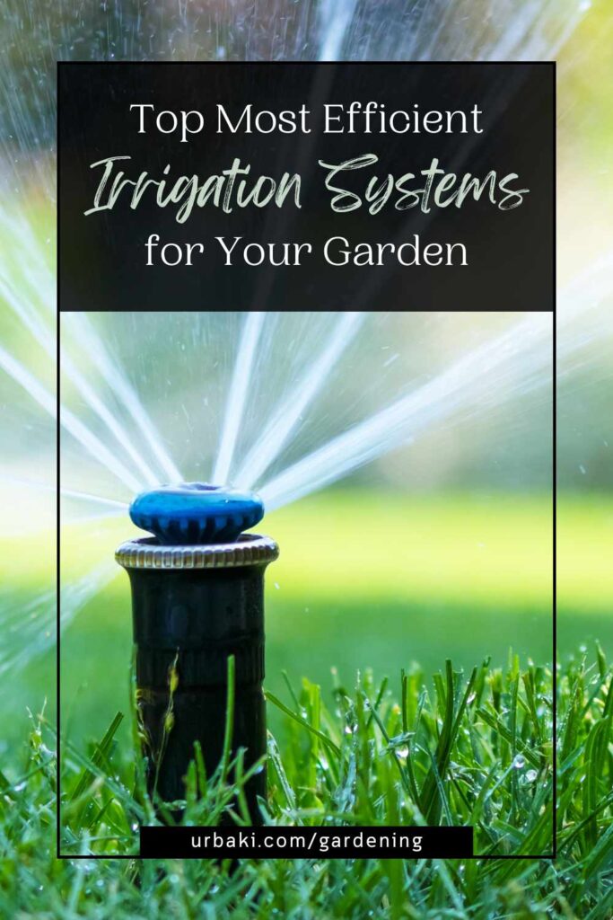 Top Most Efficient Irrigation Systems for Your Garden