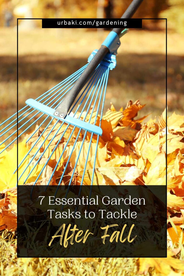 7 Essential Garden Tasks to Tackle After Fall