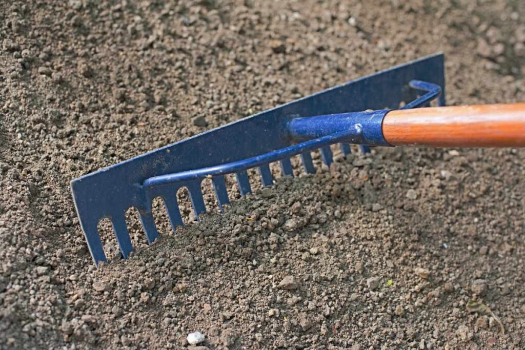 Get a Lush Lawn: How to Plant Grass Seed Right