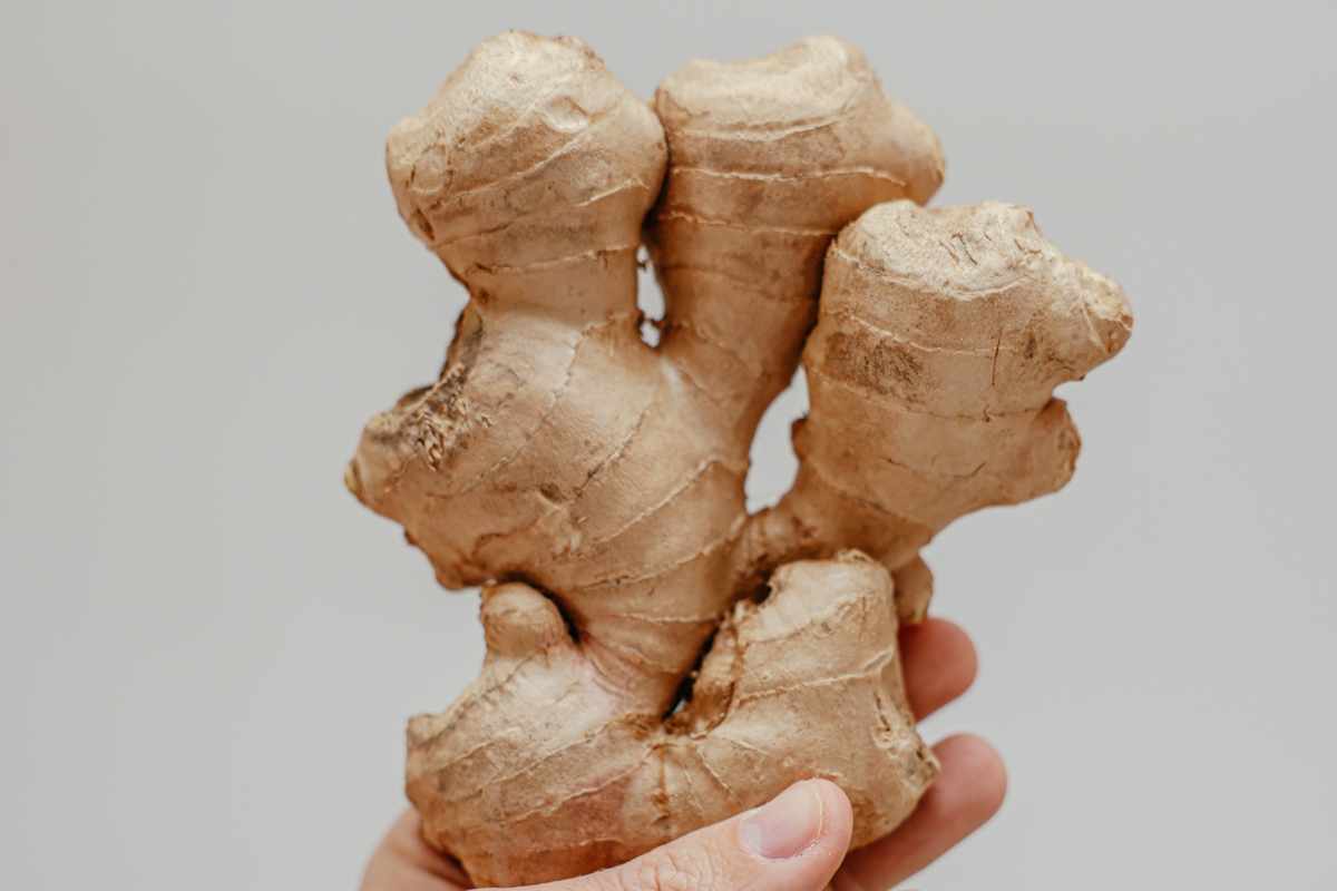 How to Propagate Ginger from Store-Bought Roots