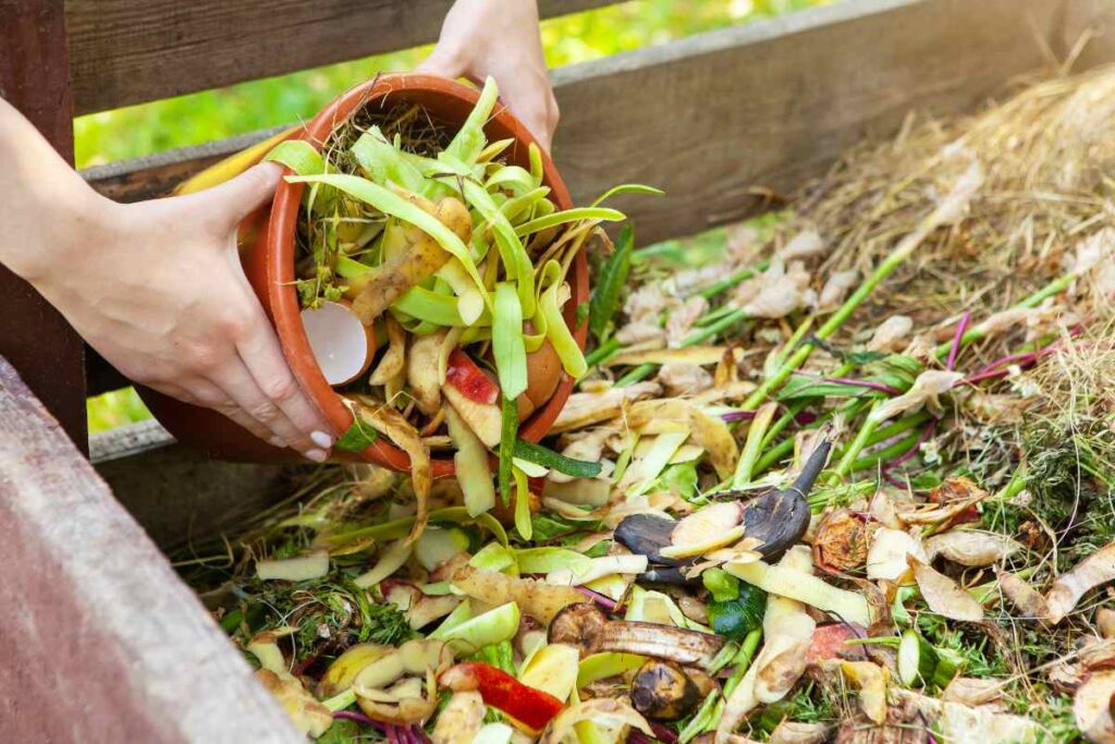 10 Clever Ways to Reuse Food Scraps in Your Garden