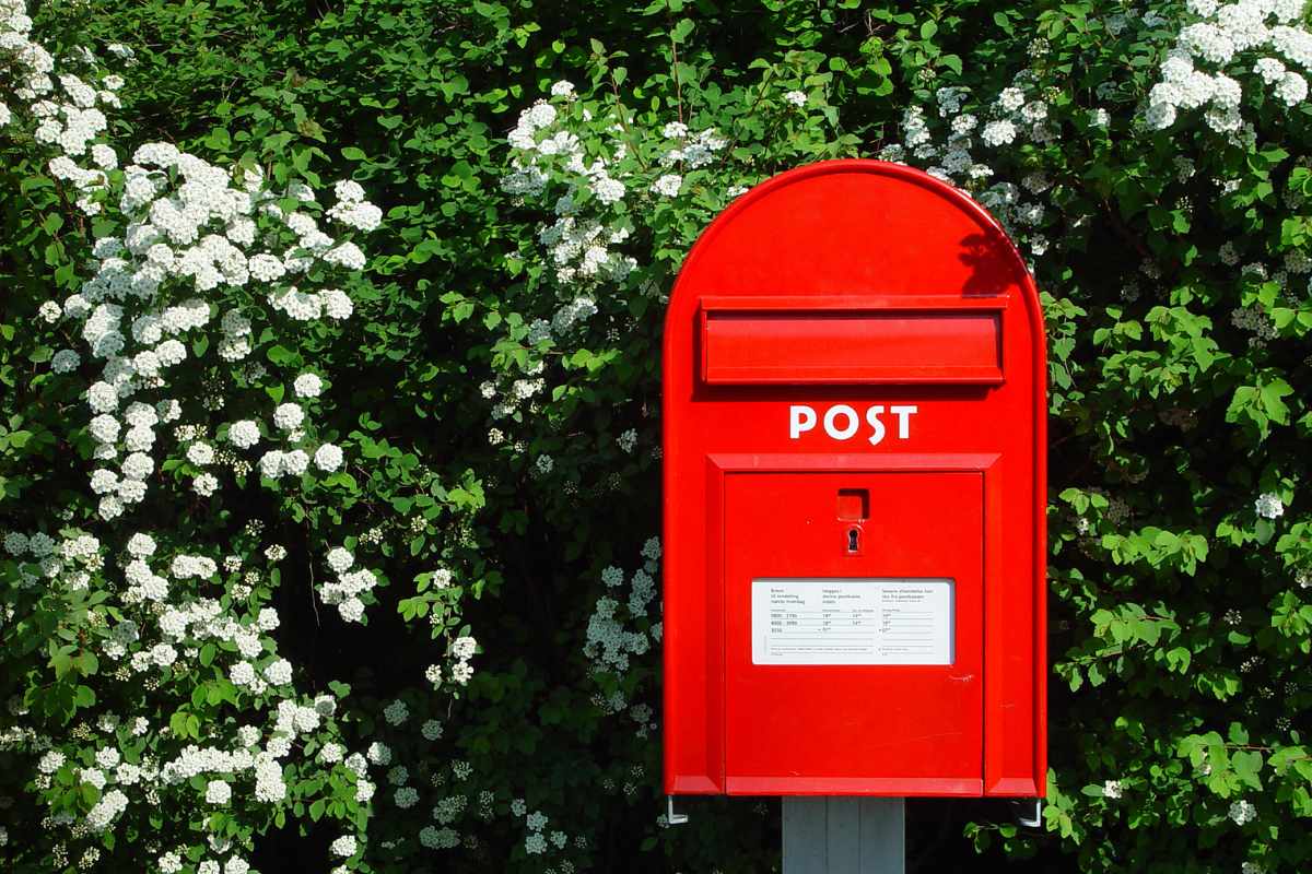 Easy-to-Grow Mailbox Flowers for a Beautiful Entrance