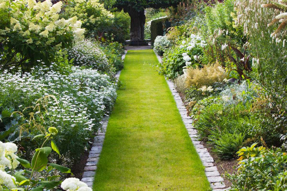 The Best Materials for Durable & Stylish Garden Borders