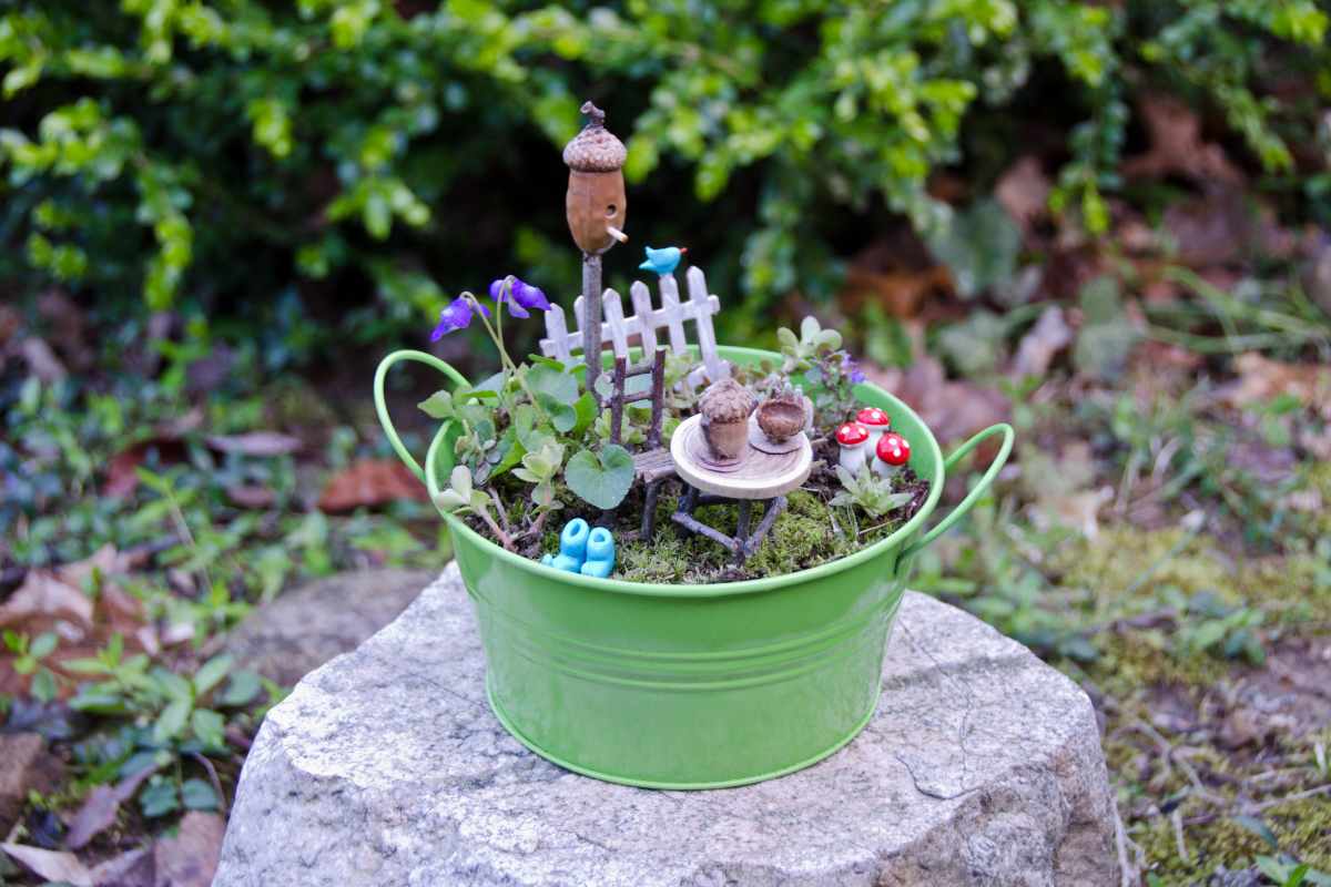 Create a Magical Outdoor Fairy Garden in Simple Steps!