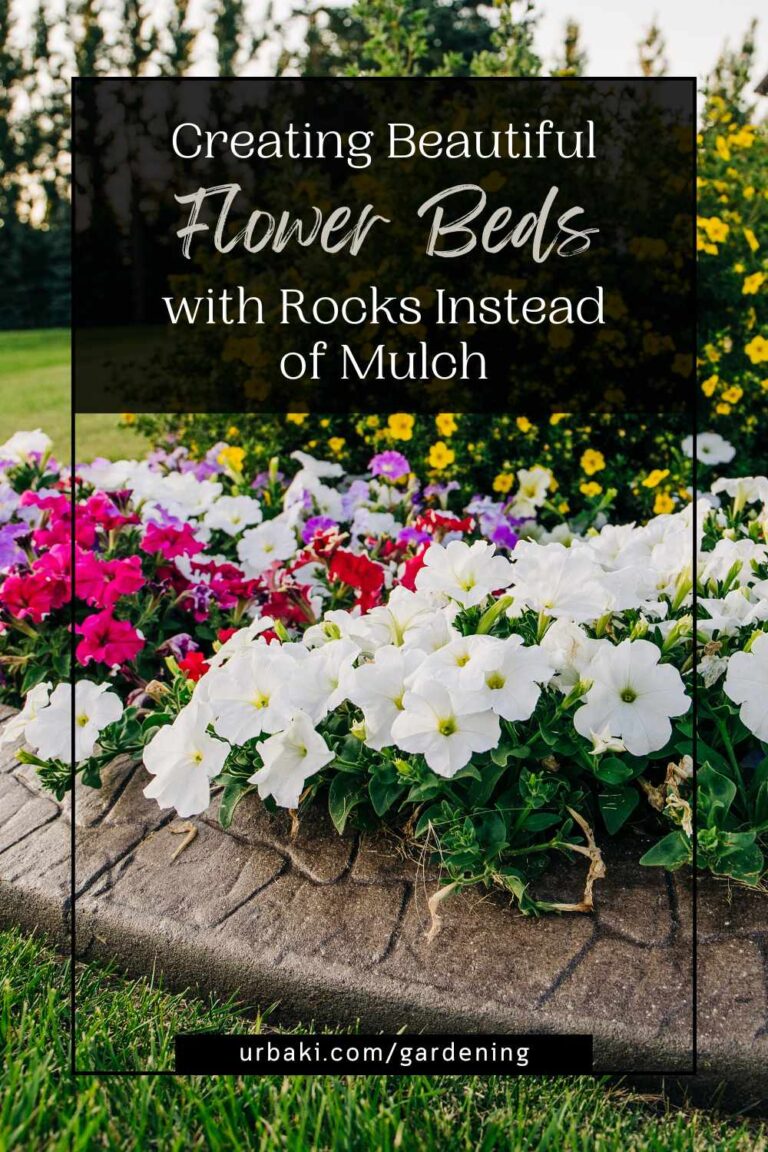 Creating Beautiful Flower Beds with Rocks Instead of Mulch
