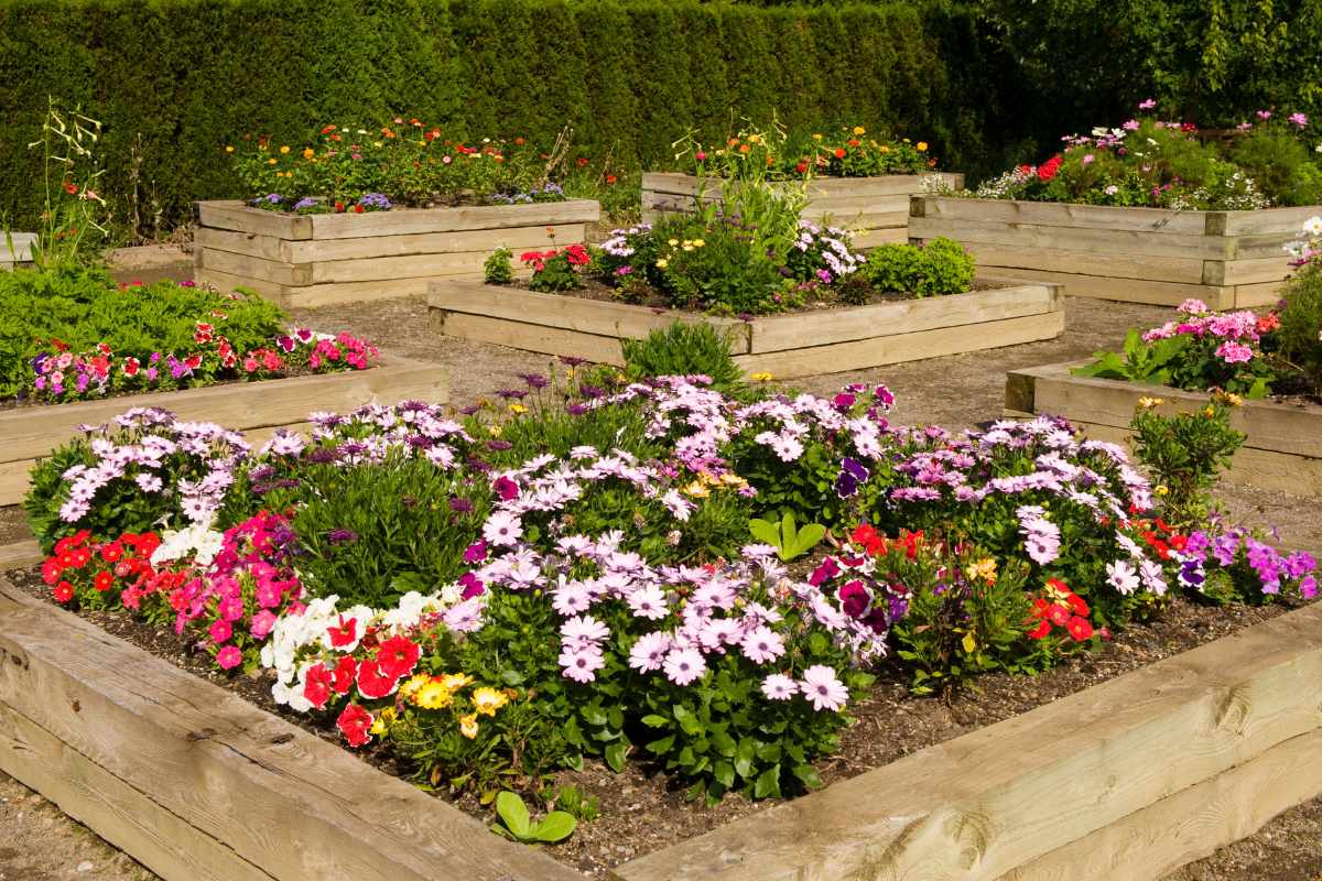 Creating the Perfect Flower Bed Layout for Any Garden Size