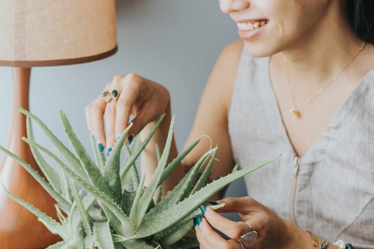 What Your Emotions Might Mean to Your Plants