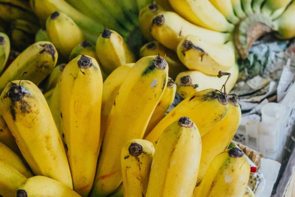 What Are Climatic vs Non-Climacteric Fruits?
