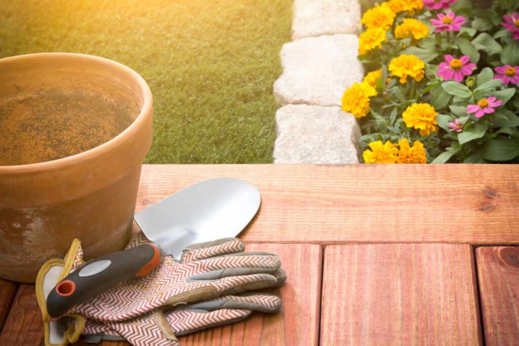 What Is Considered Late Spring for Planting?