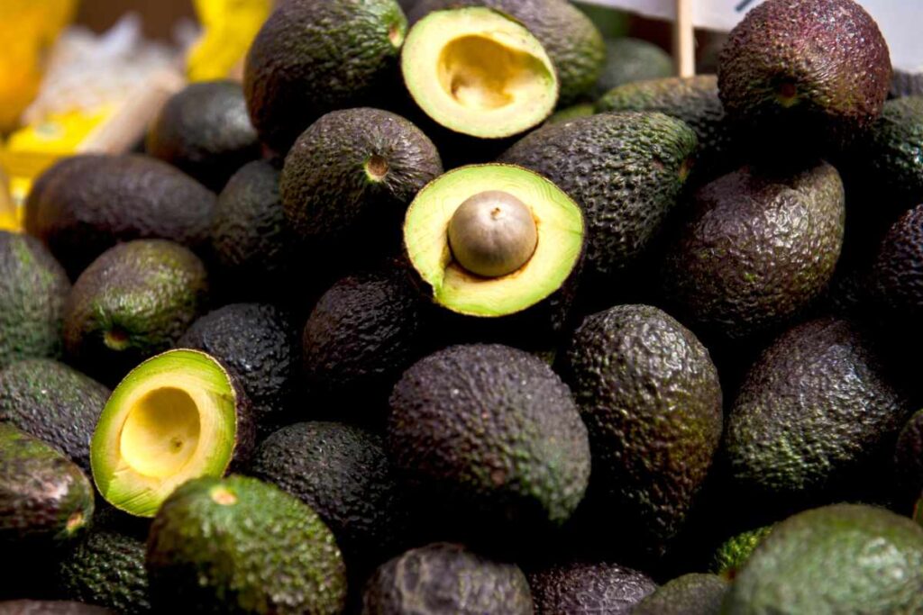 What Are Climatic vs Non-Climacteric Fruits?
