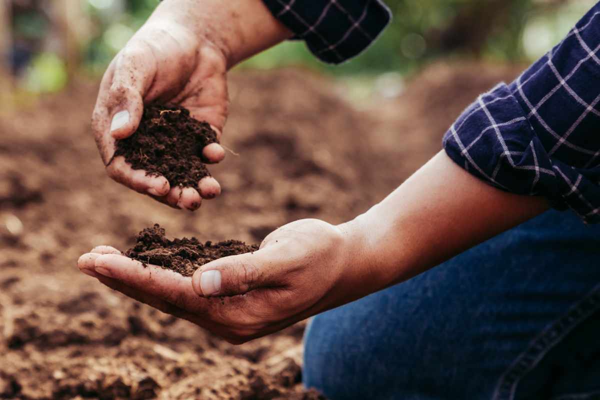 The Hidden Therapeutic Benefits of Touching Soil