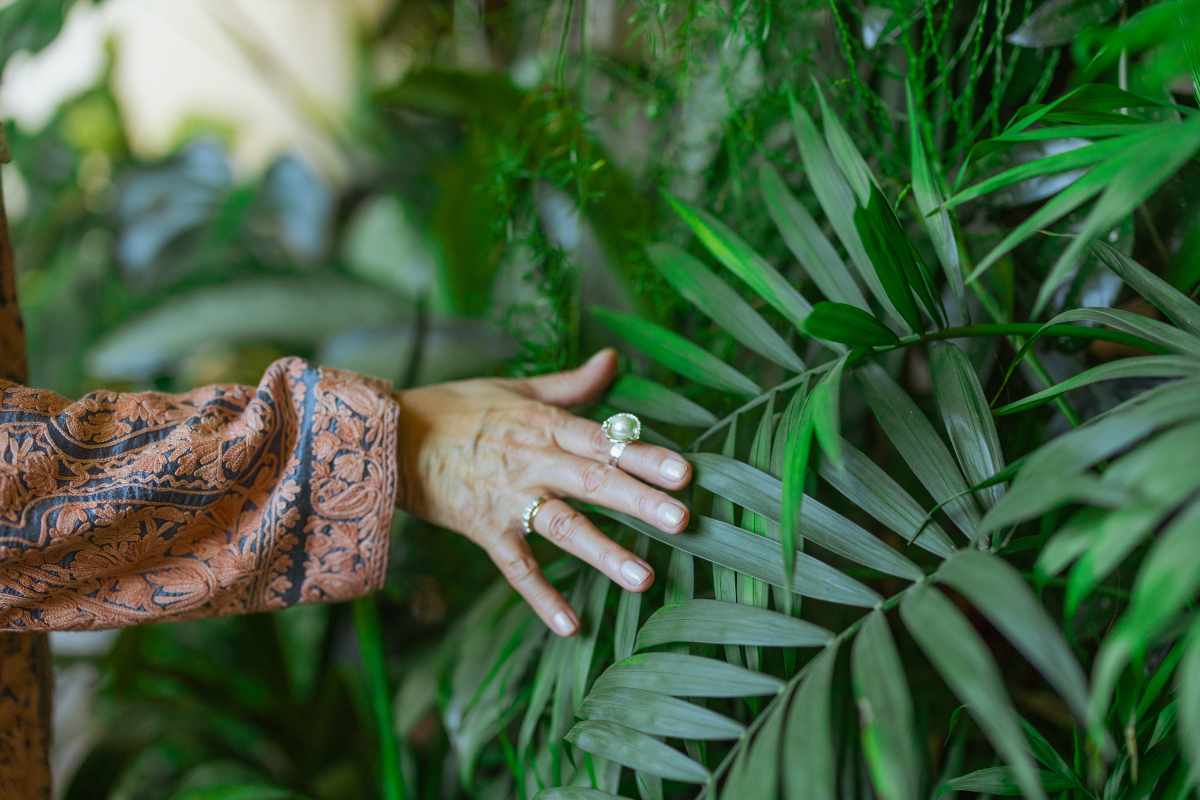 The Secret Language of Plants - How They Communicate