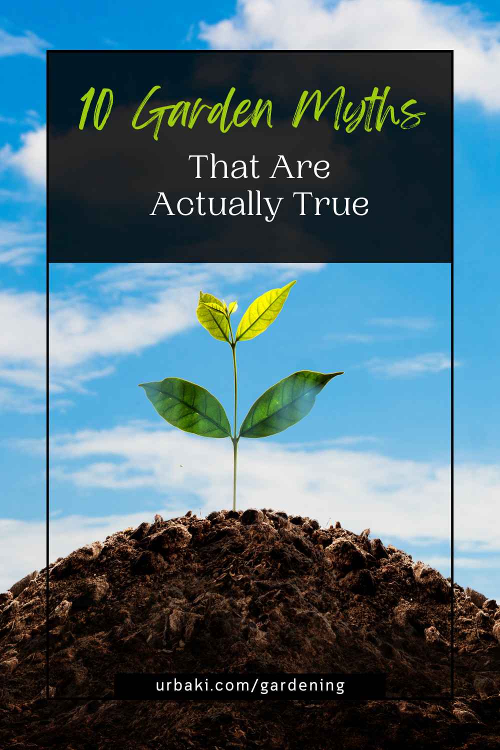 10 Garden Myths That Are Actually True