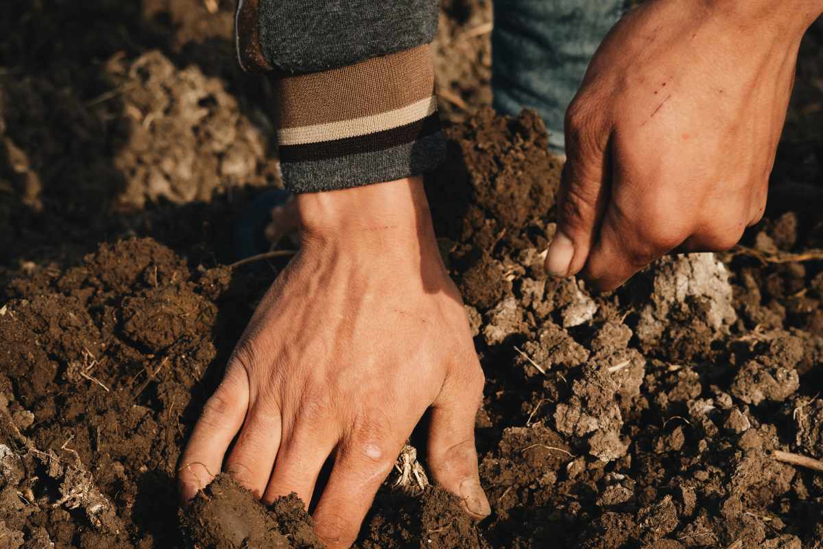 The Hidden Therapeutic Benefits of Touching Soil