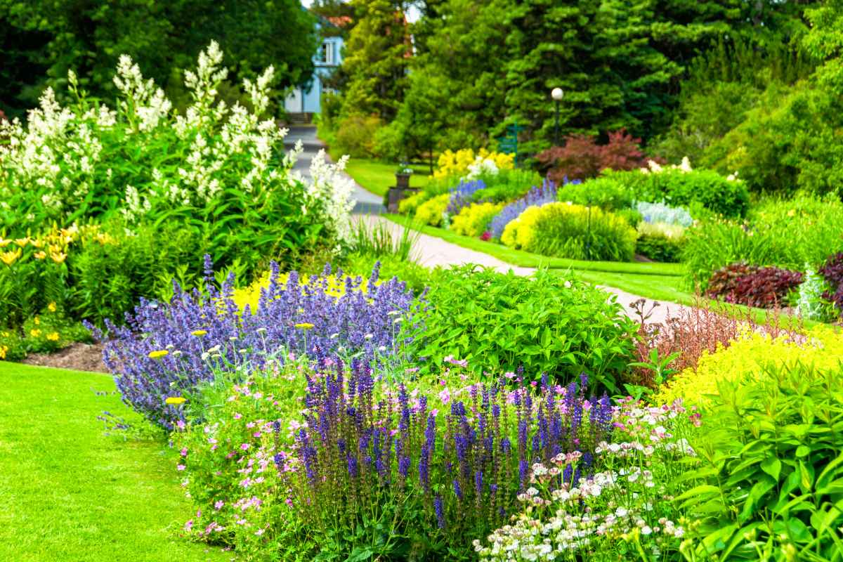 Behind the Scenes: A Day in the Life of a Botanical Garden