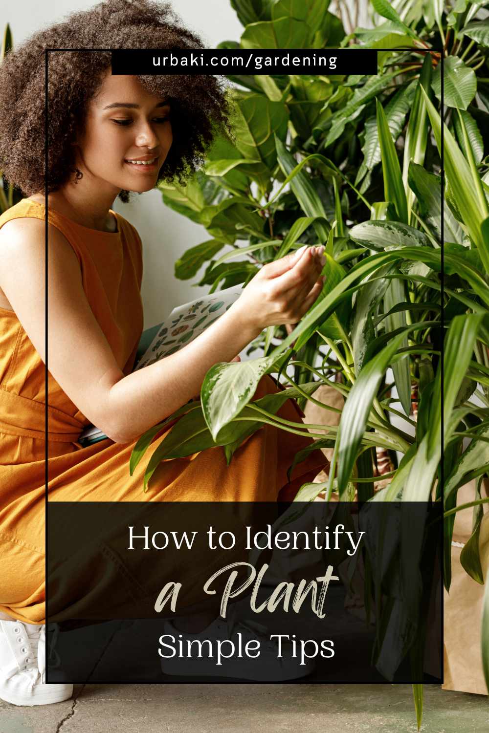 How to Identify a Plant - Simple Tips