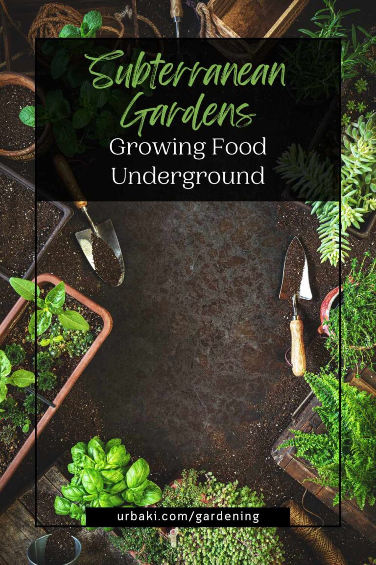 Subterranean Gardens - Growing Food Underground