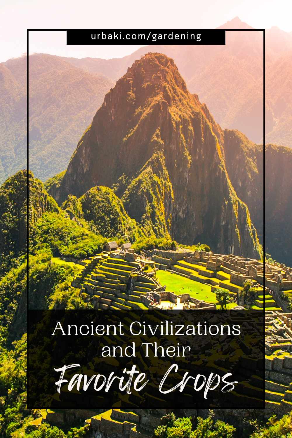 Ancient Civilizations and Their Favorite Crops