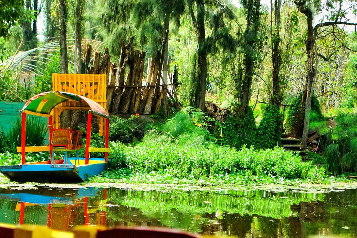 The Floating Gardens of Xochimilco: Ancient Innovation