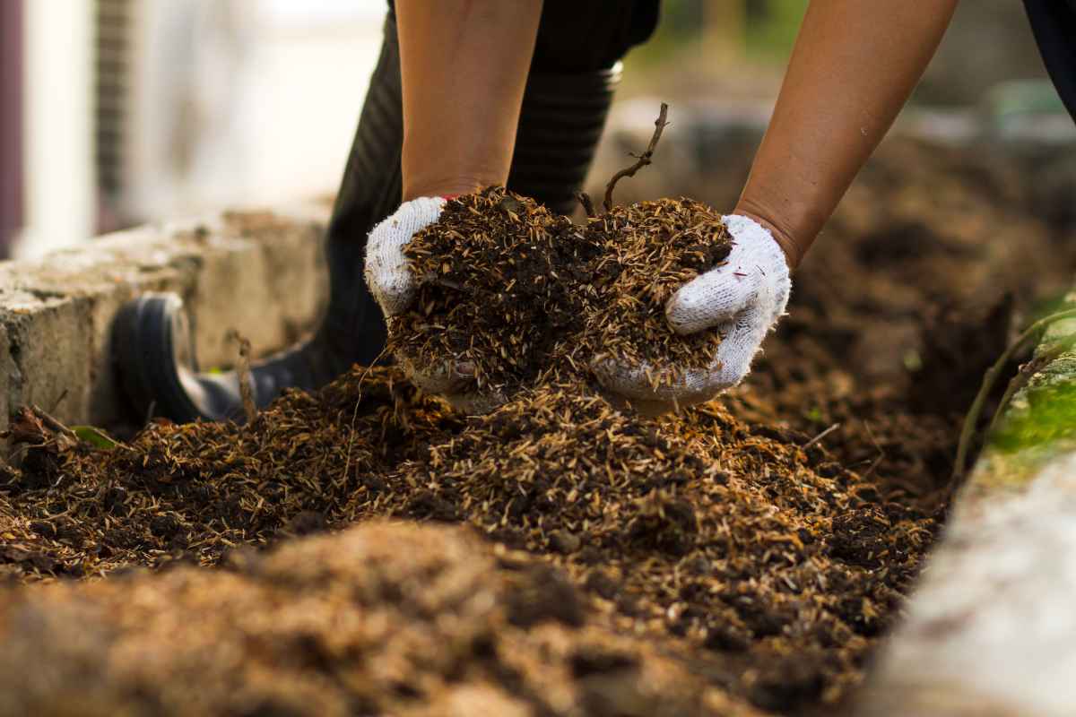 Funny Gardening Fails That Still Hurt